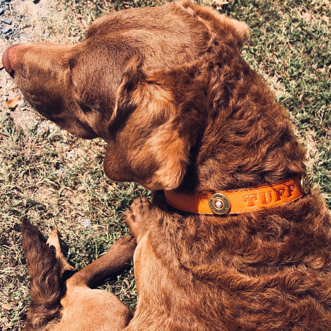 Handmade Leather Shotgun Shell Collar - Etsy