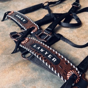Custom Award Halters Bronc Noseband Personalize With Horse / Farm Name ...