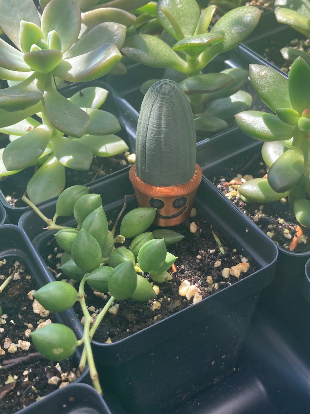 4 Happy Plant Pals! - Accessories for Your Plants or You! Ravenhuff ...