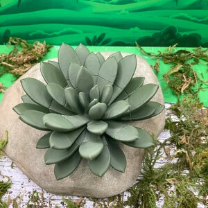 Succulent Push Pins - 3D Printed - Etsy