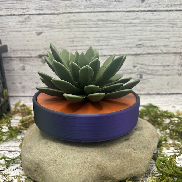 Forge Core Co - Etsy