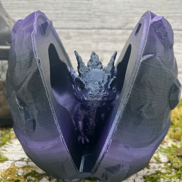 Wings of Fire 3d Print - Etsy