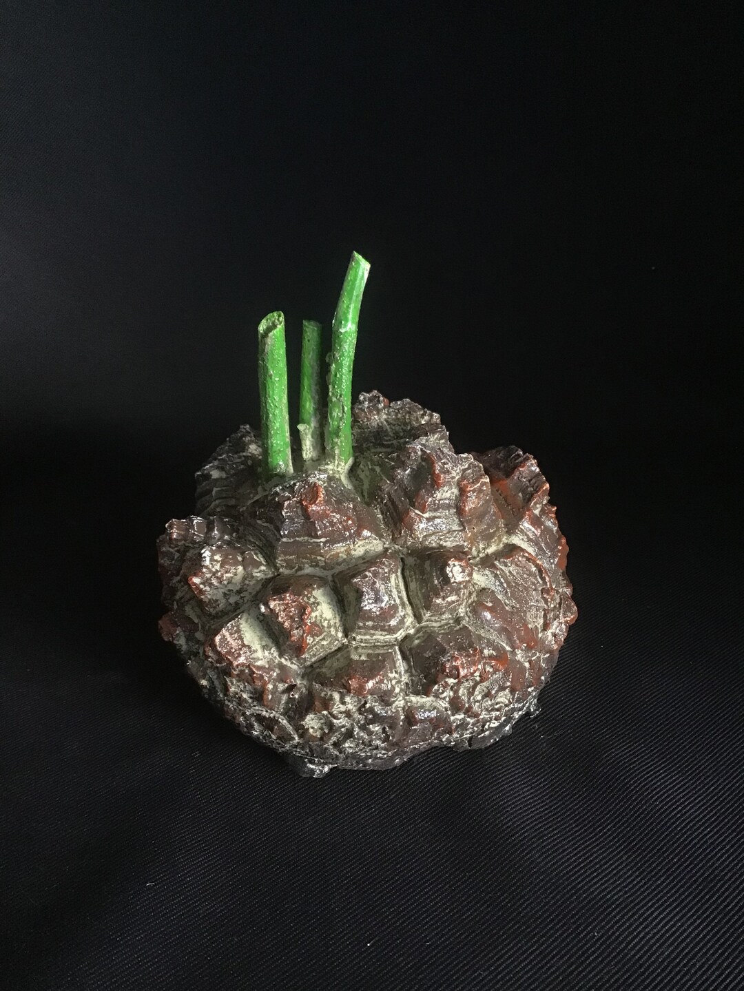 Dioscorea Elephantipes Succulent Caudex Resin Not Real - Etsy