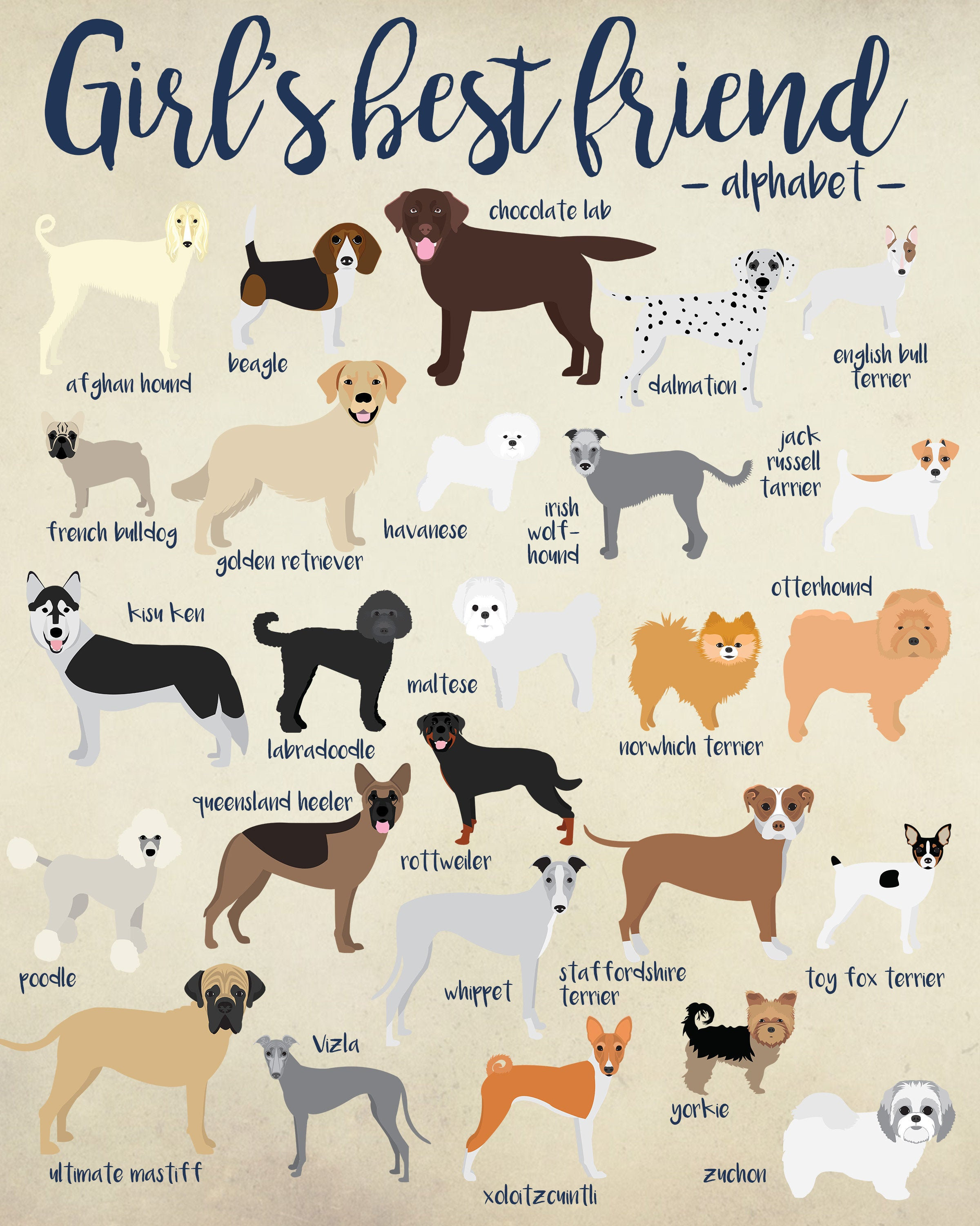 Printable ABC Dog Breeds, Alphabet Dogs, Nursery Prints, Toddler Room ...