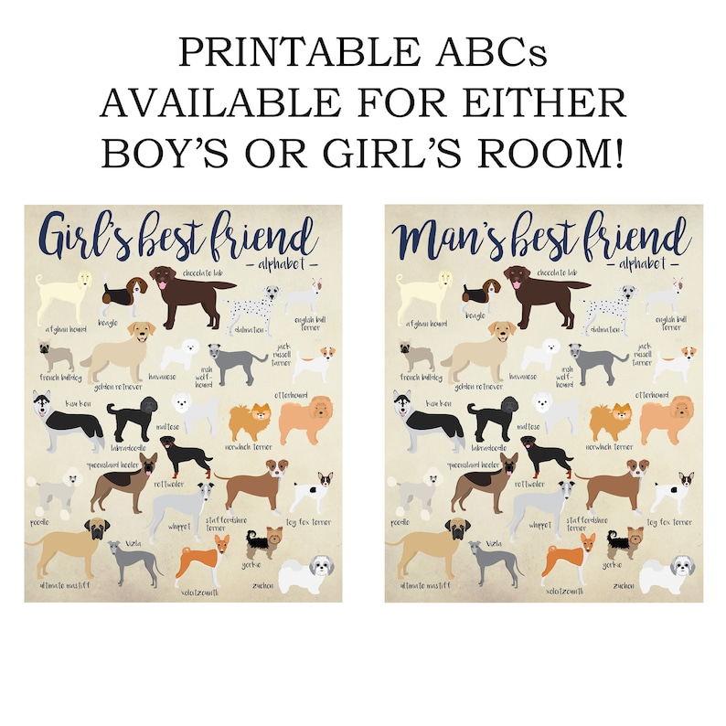 Printable ABC Dog Breeds, Alphabet Dogs, Nursery Prints, Toddler Room ...