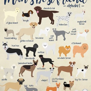 Printable ABC Dog Breeds, Alphabet Dogs, Nursery Prints, Toddler Room ...