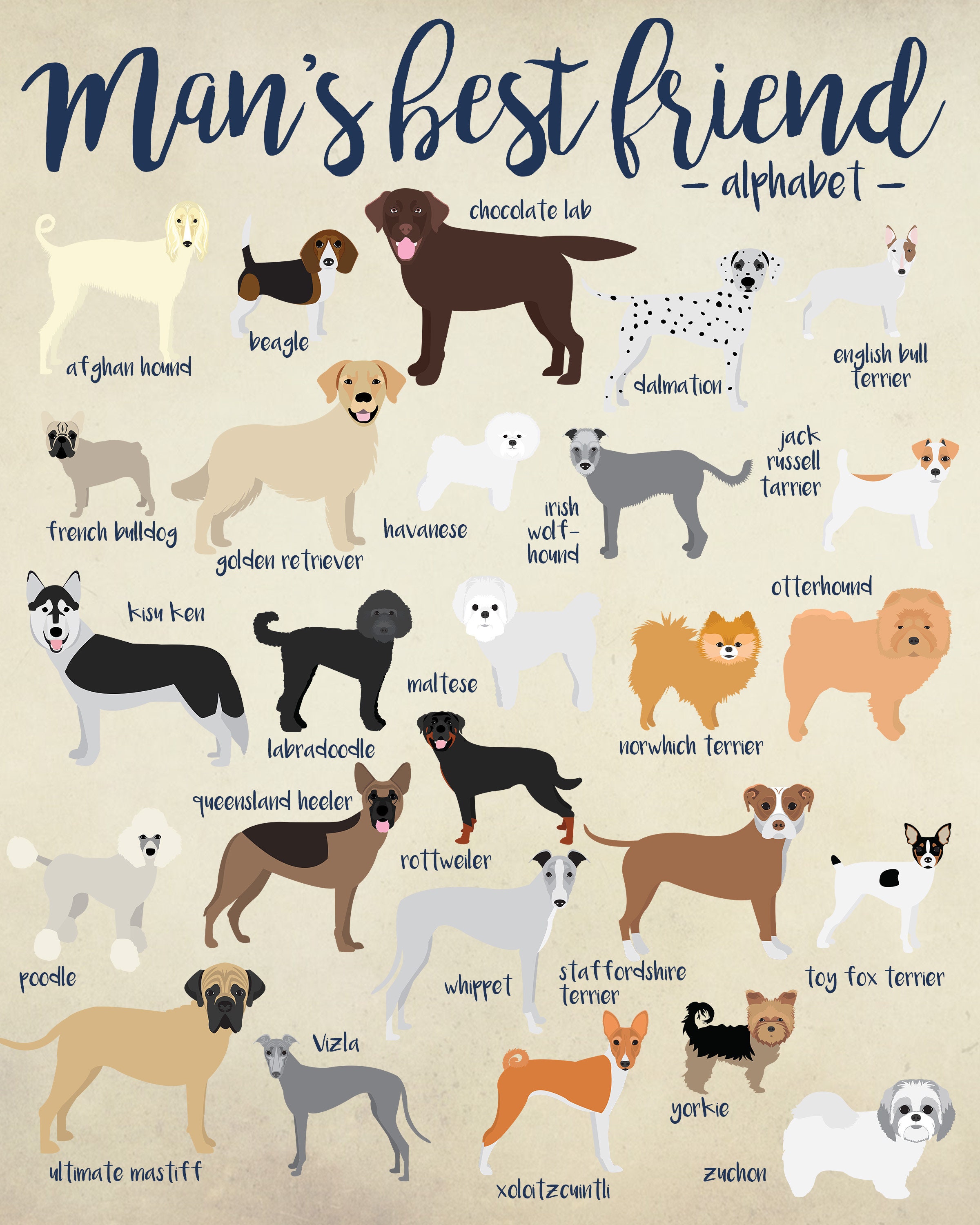 Printable ABC Dog Breeds, Alphabet Dogs, Nursery Prints, Toddler Room ...