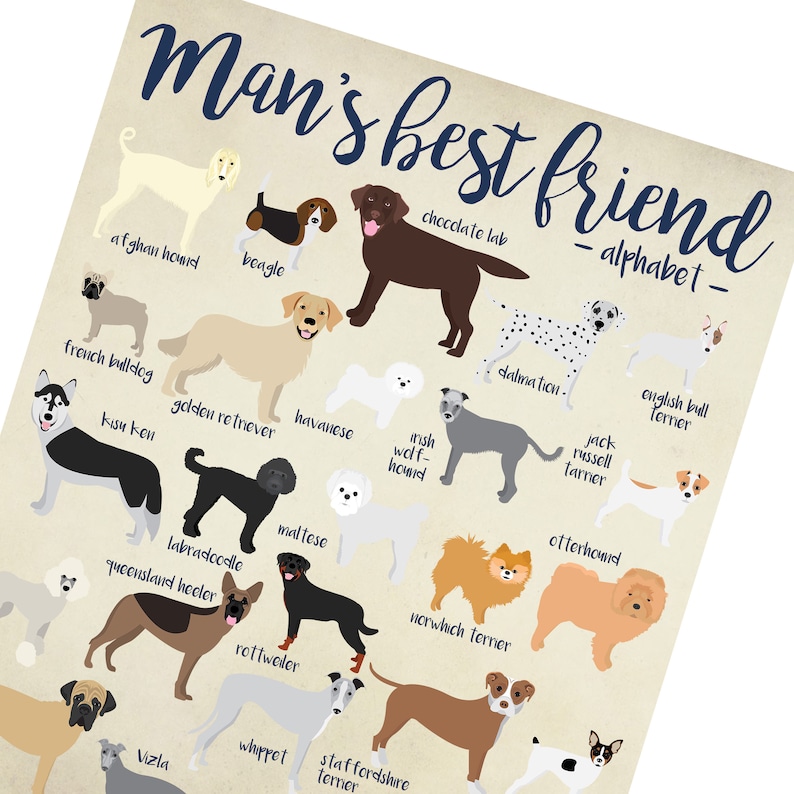 Printable ABC Dog Breeds, Alphabet Dogs, Nursery Prints, Toddler Room ...