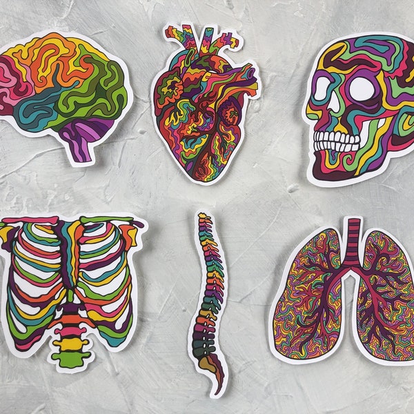 Science Stickers - Etsy