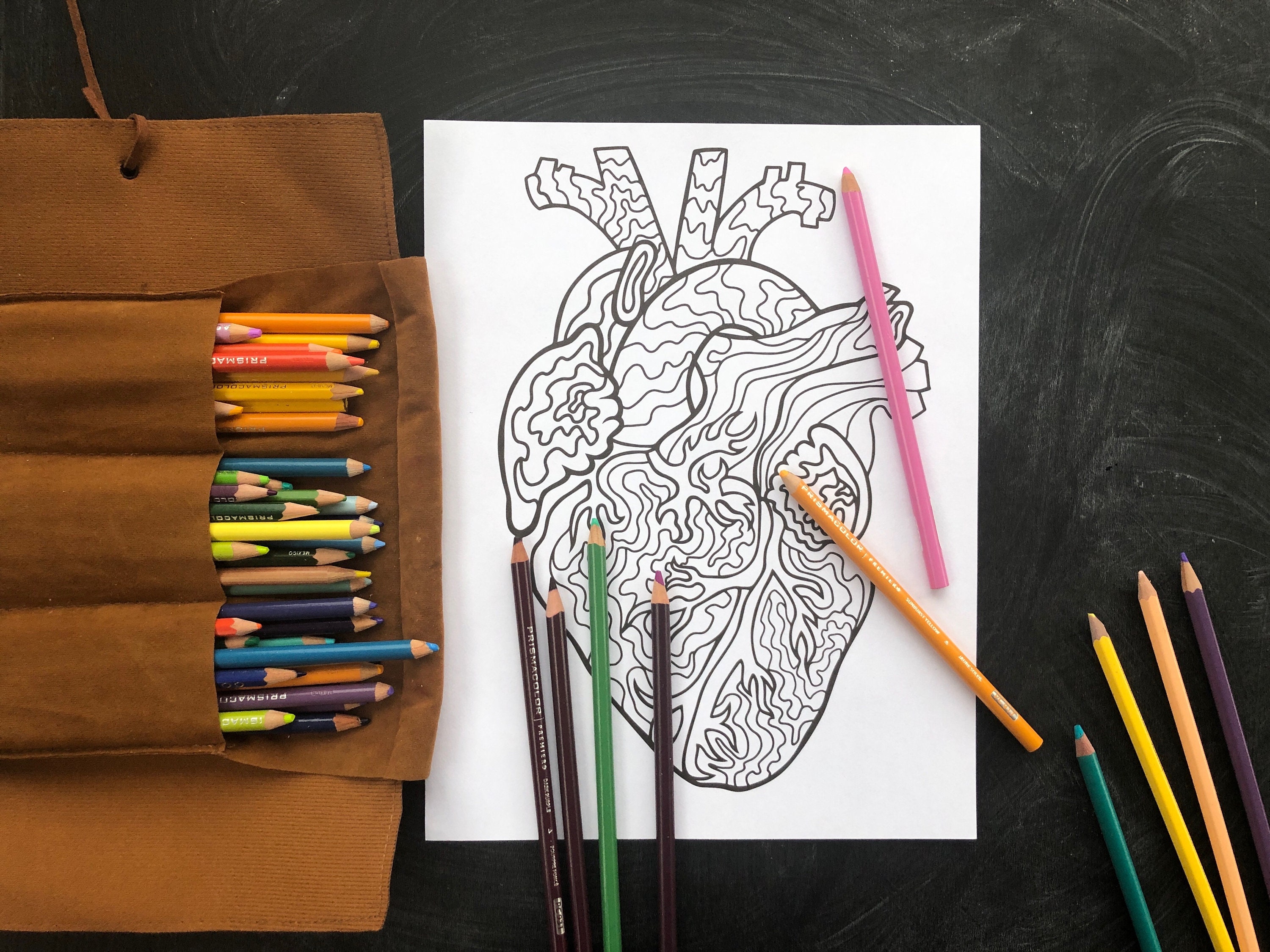 Coloring Pages Anatomy Art Coloring Page Anatomical Art | Etsy