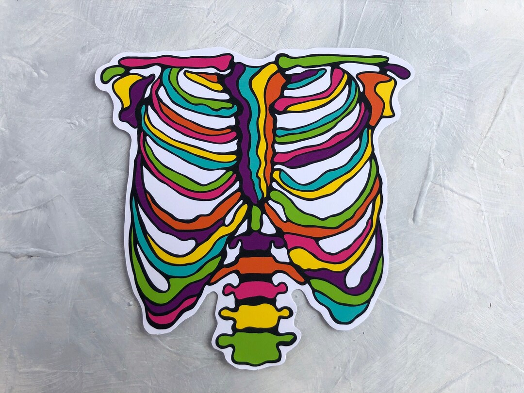 Anatomy Stickers, Rib Cage Sticker, Psychedelic Stickers, Medical ...