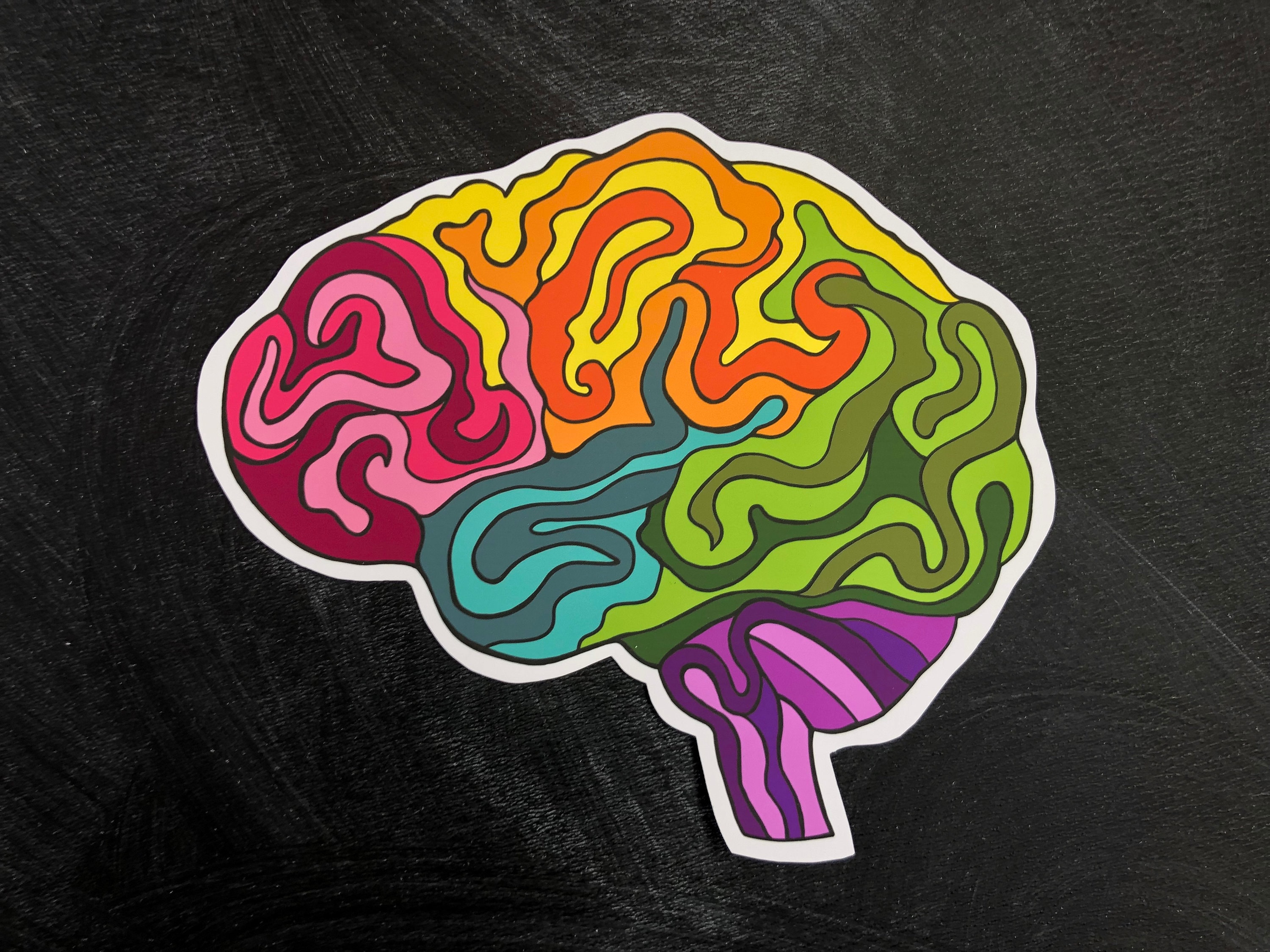 Brain Sticker Anatomy Sticker Medical Stickers Psychedelic | Etsy
