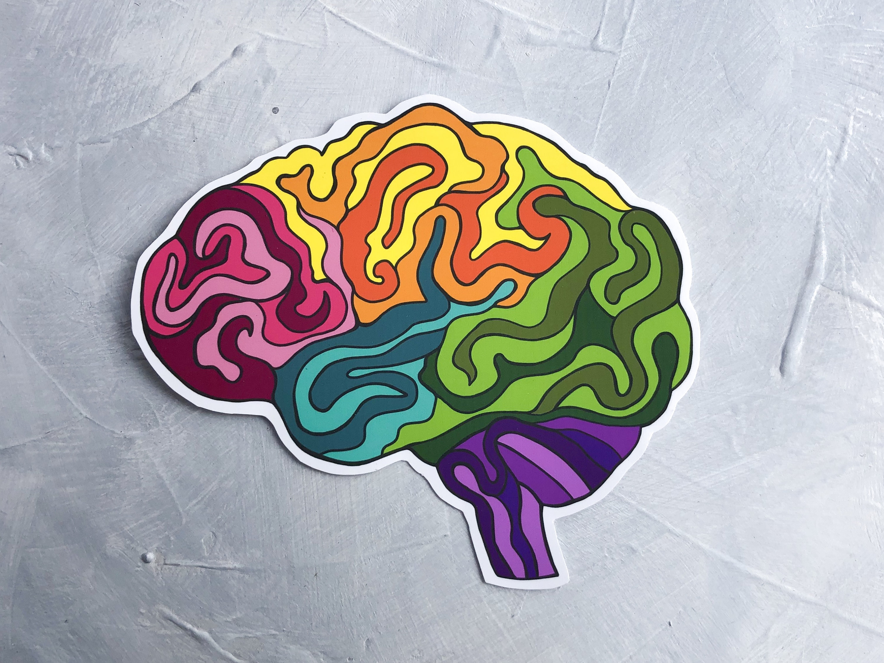 Brain Sticker Anatomy Sticker Medical Stickers Psychedelic | Etsy