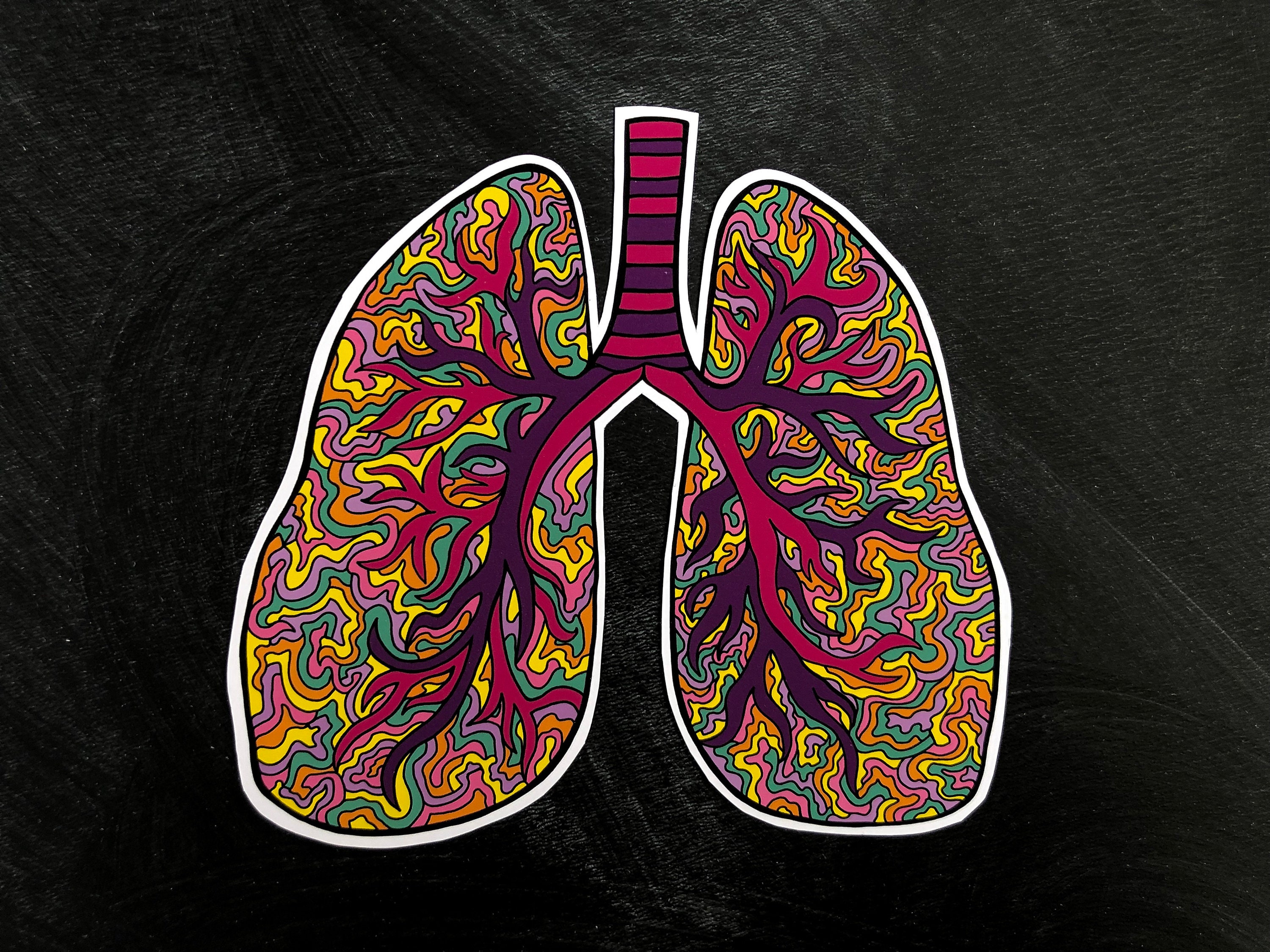 Lung Sticker Anatomy Stickers Medical Stickers Psychedelic | Etsy