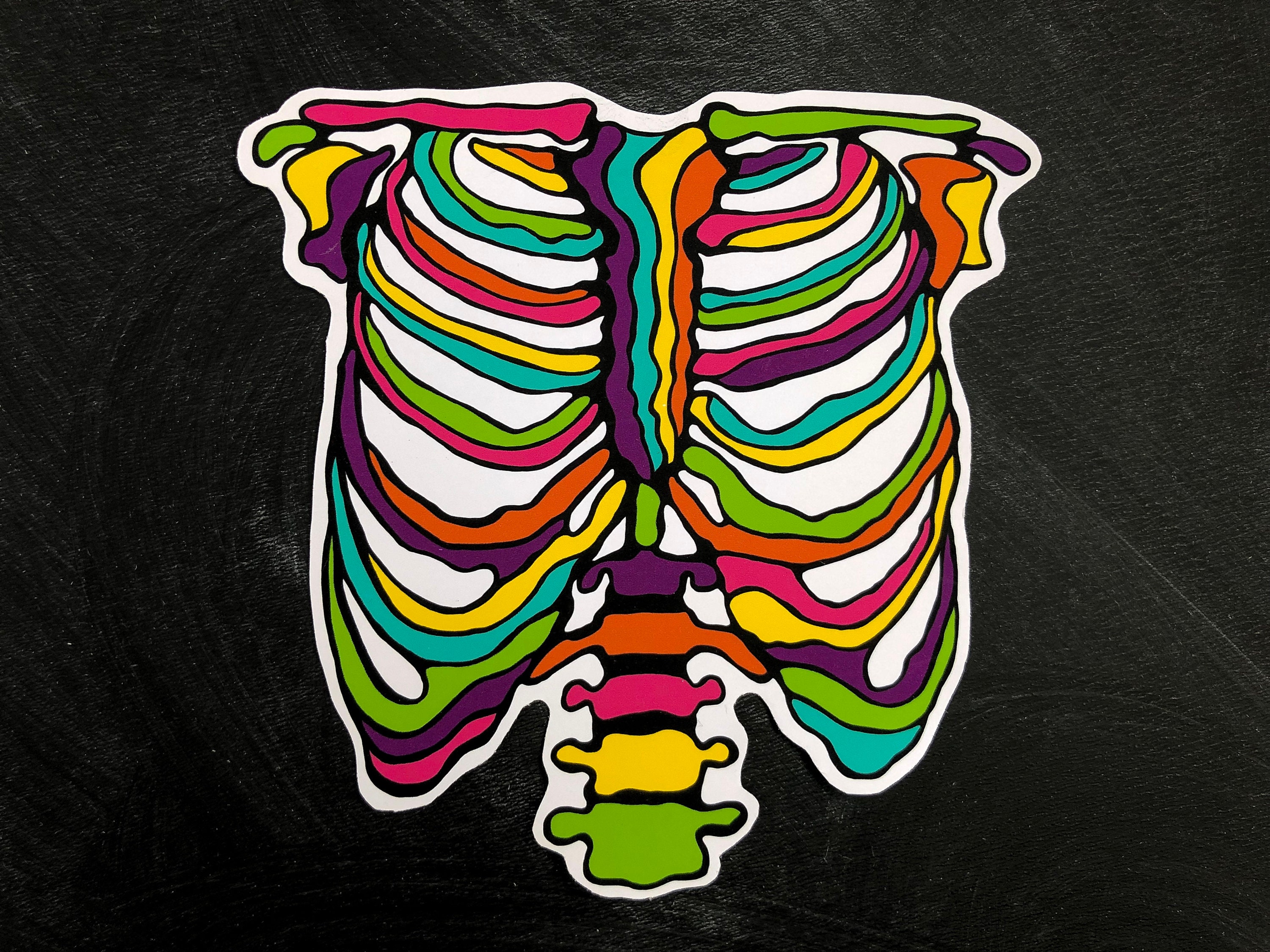 Anatomy Stickers Rib Cage Sticker Psychedelic Stickers - Etsy Ireland