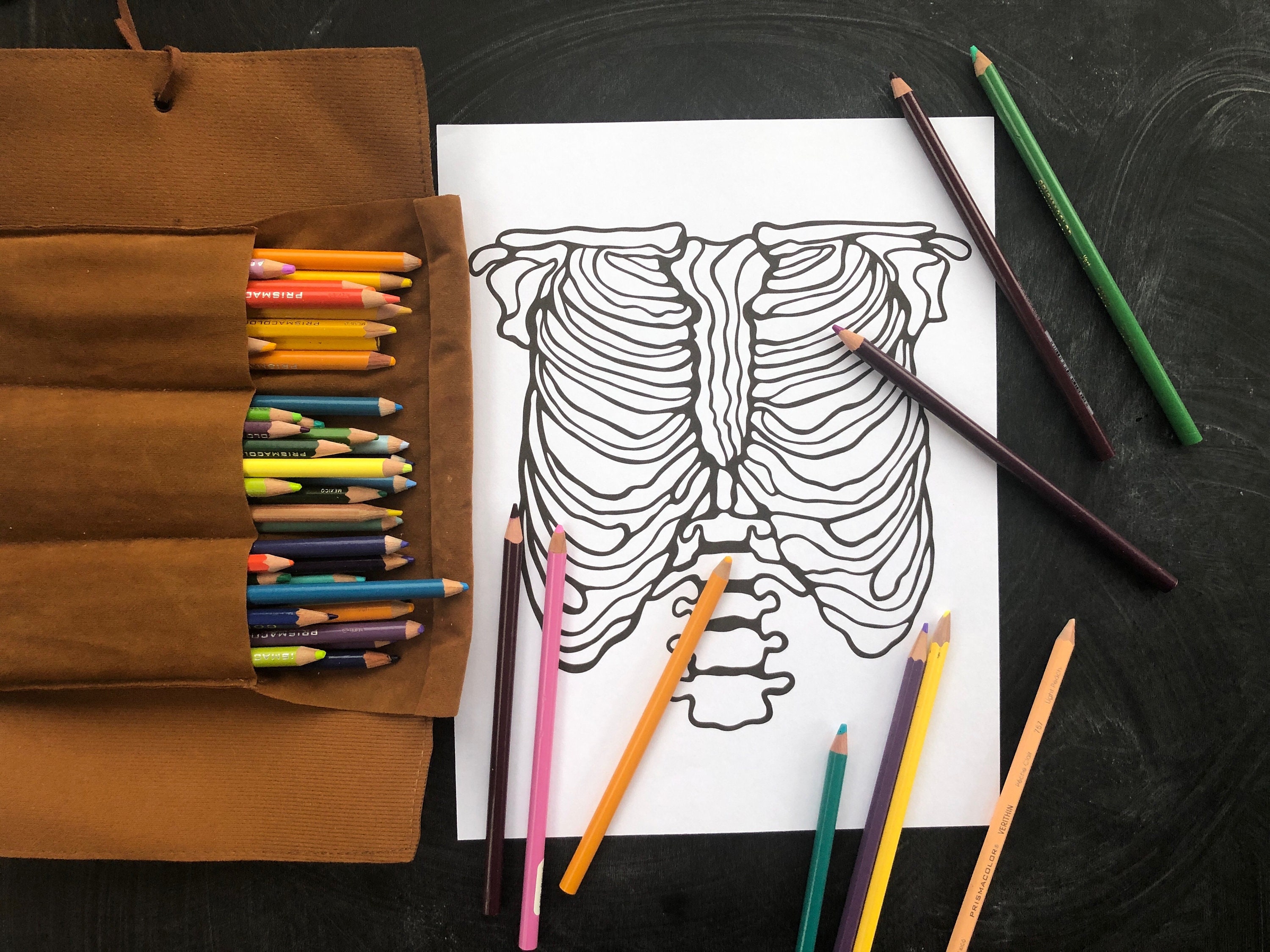 Coloring Pages Anatomy Art Coloring Page Anatomical Art - Etsy Norway