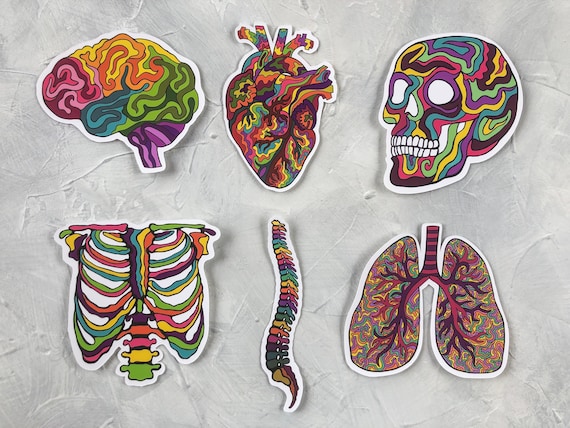 Anatomy Stickers Medical Stickers Psychedelic Stickers | Etsy