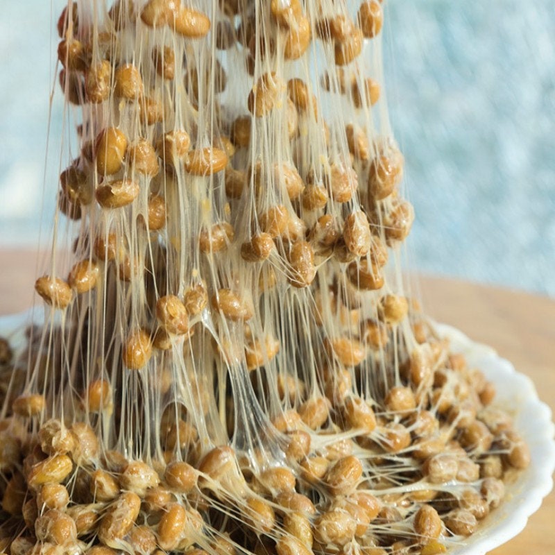 Bacillus Natto for DIY Natto 3g X 5 Bags NATTO Kin Live Enzyme - Etsy