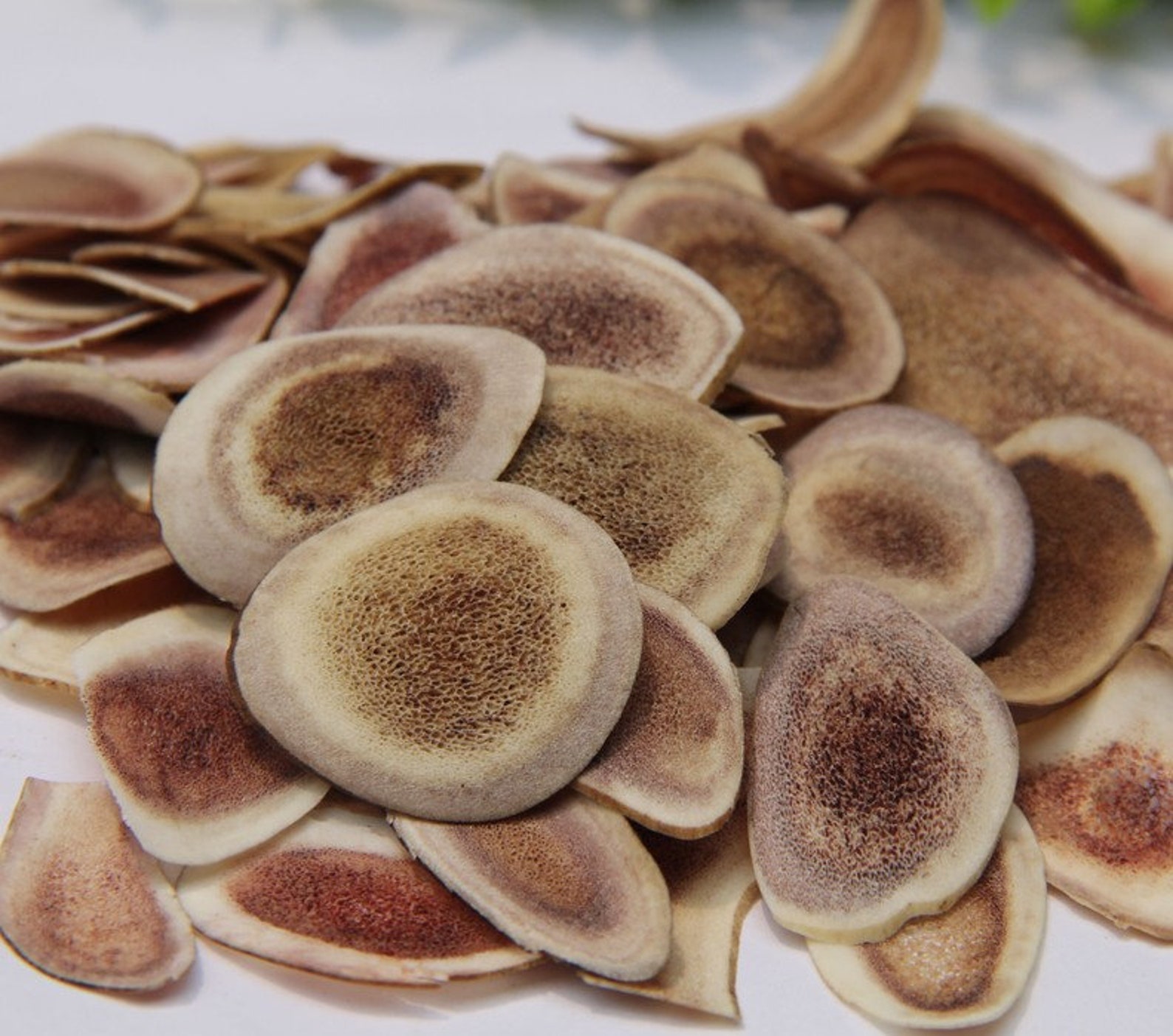 100g Lu Rong Gu Zhi Pian Lu Jiao Pian / Cornu Cervi | Etsy