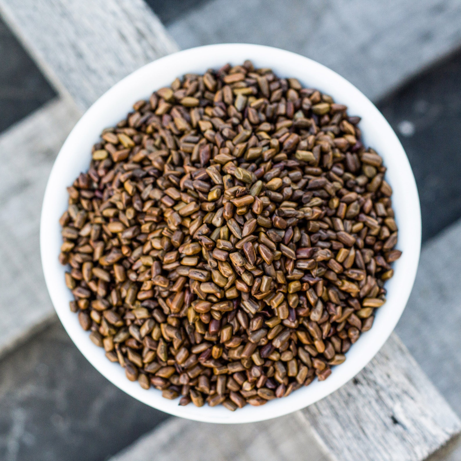 500g Cassia Seed Herbal Tea Semen Cassiae Jue Ming Zi - Etsy