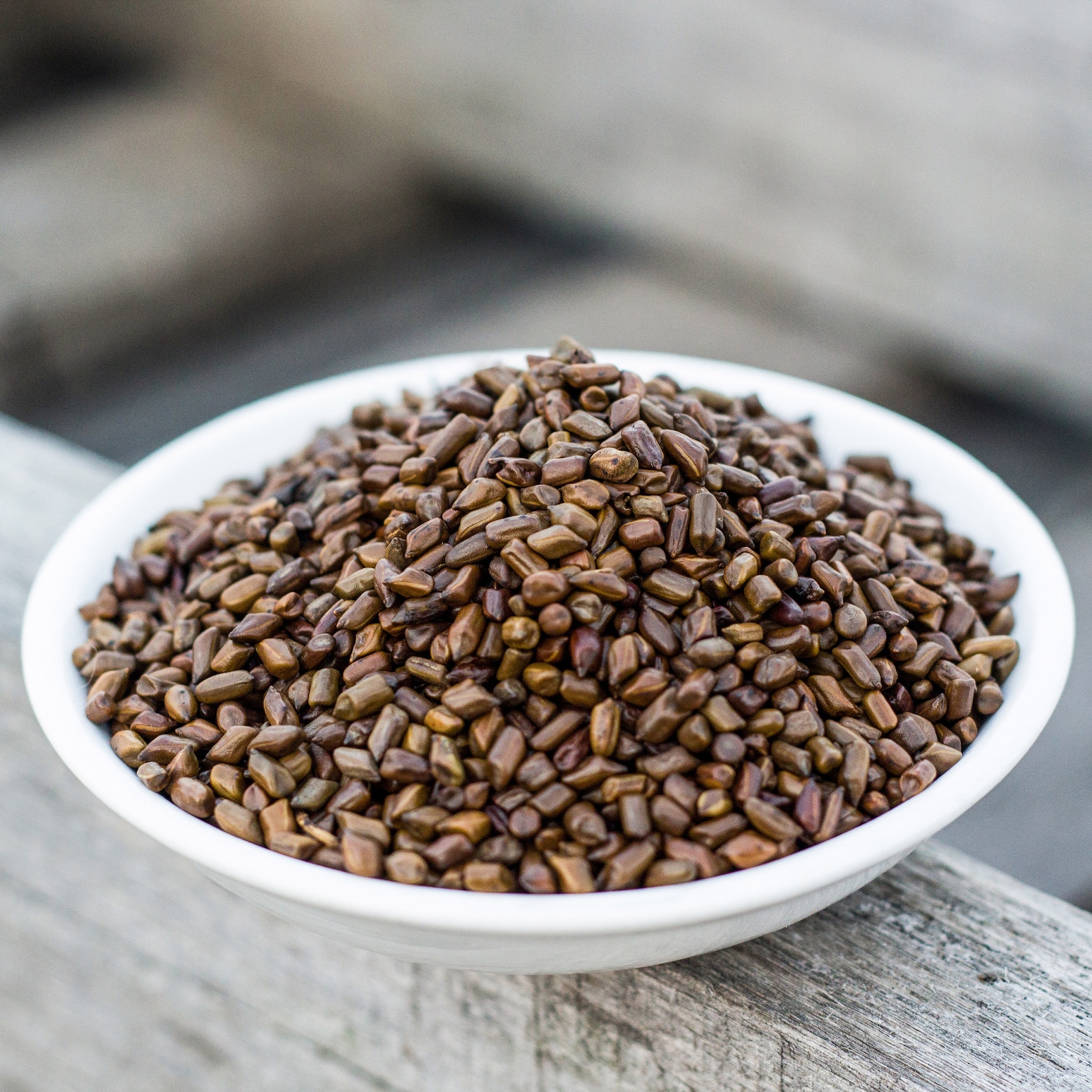 500g Cassia Seed Herbal Tea Semen Cassiae Jue Ming Zi - Etsy