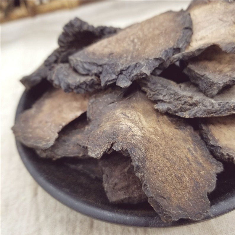 250g Wild Rou Cong Rong Cistanche Tubulosa Deserticola Desert - Etsy France