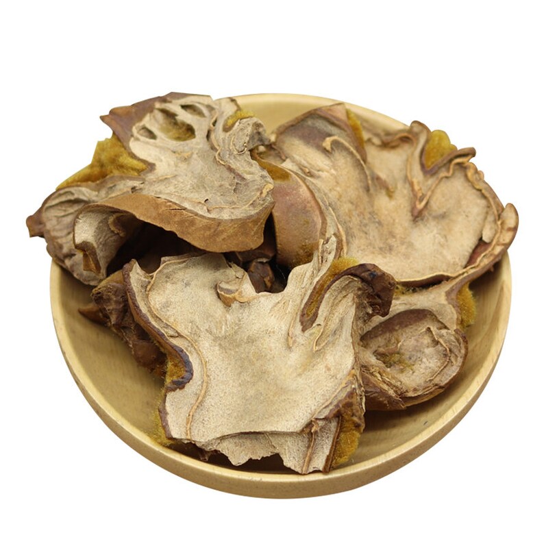 1.1LB East Asian Tree Fern Rhizome Dried Herbs Jin Mao Gou Ji - Etsy