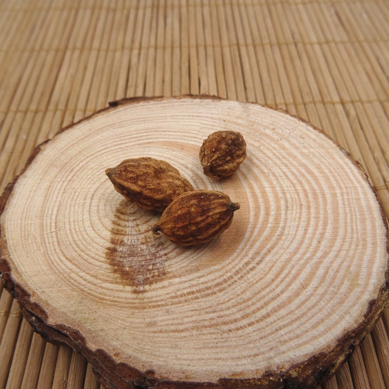 250g Organic Fructus Alpiniae Oxyphyllae Dried Herbs Yi Zhi | Etsy