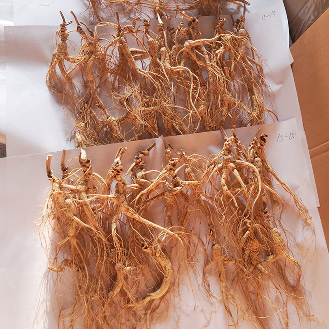 50g Dried Whole Ginseng Roots 15-17 Years Ginseng - Etsy