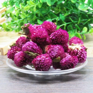 250g Gomphrena Globosa Globe Amarant Dried Floral Tea Dried Flower Tea ...