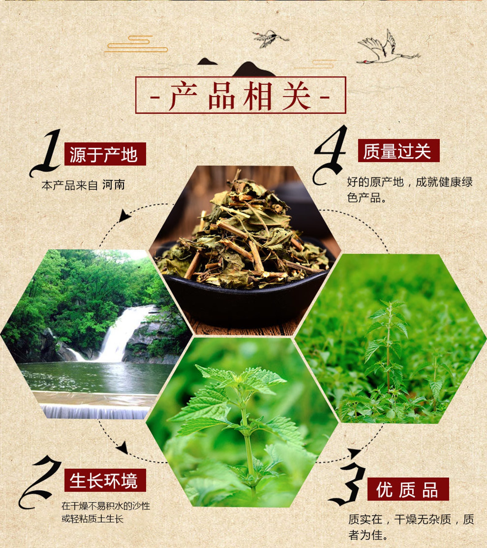 250g Organic Rabdosia Rubescens Herba Rabdosiae Dried Herbs - Etsy