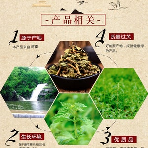 250g Organic Rabdosia Rubescens, Herba Rabdosiae Dried Herbs Dong Ling ...