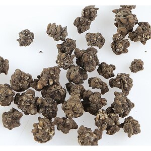 100g Wild Dried Ranunculus Tarnatus Cat Claw Buttercup Root Mao Zhua ...