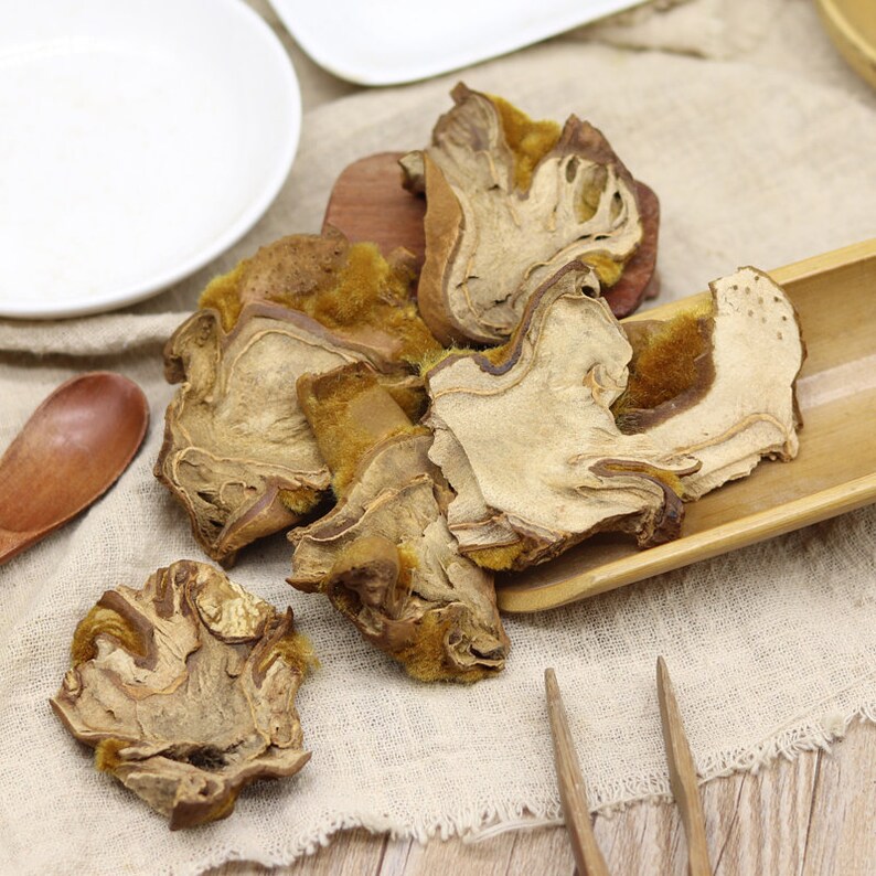 1.1LB East Asian Tree Fern Rhizome Dried Herbs Jin Mao Gou Ji - Etsy
