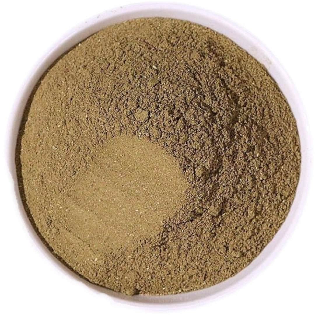 100g 100% Pure Rhizoma Picrorhizae Powder Picrorhiza - Etsy
