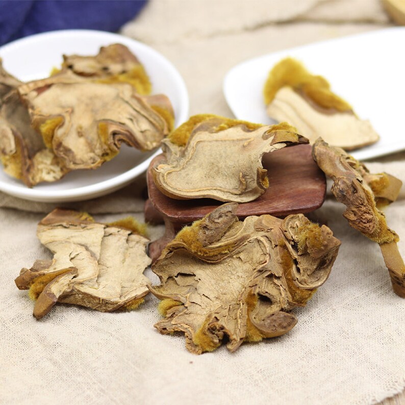 1.1LB East Asian Tree Fern Rhizome Dried Herbs Jin Mao Gou Ji - Etsy