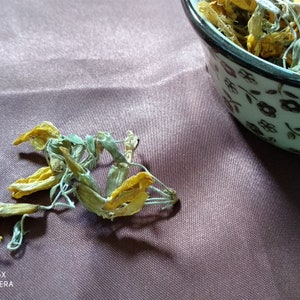 1.1 LB Dried Cytisus Scoparius, Flower Tea Jin Que Hua, Broom Top ...