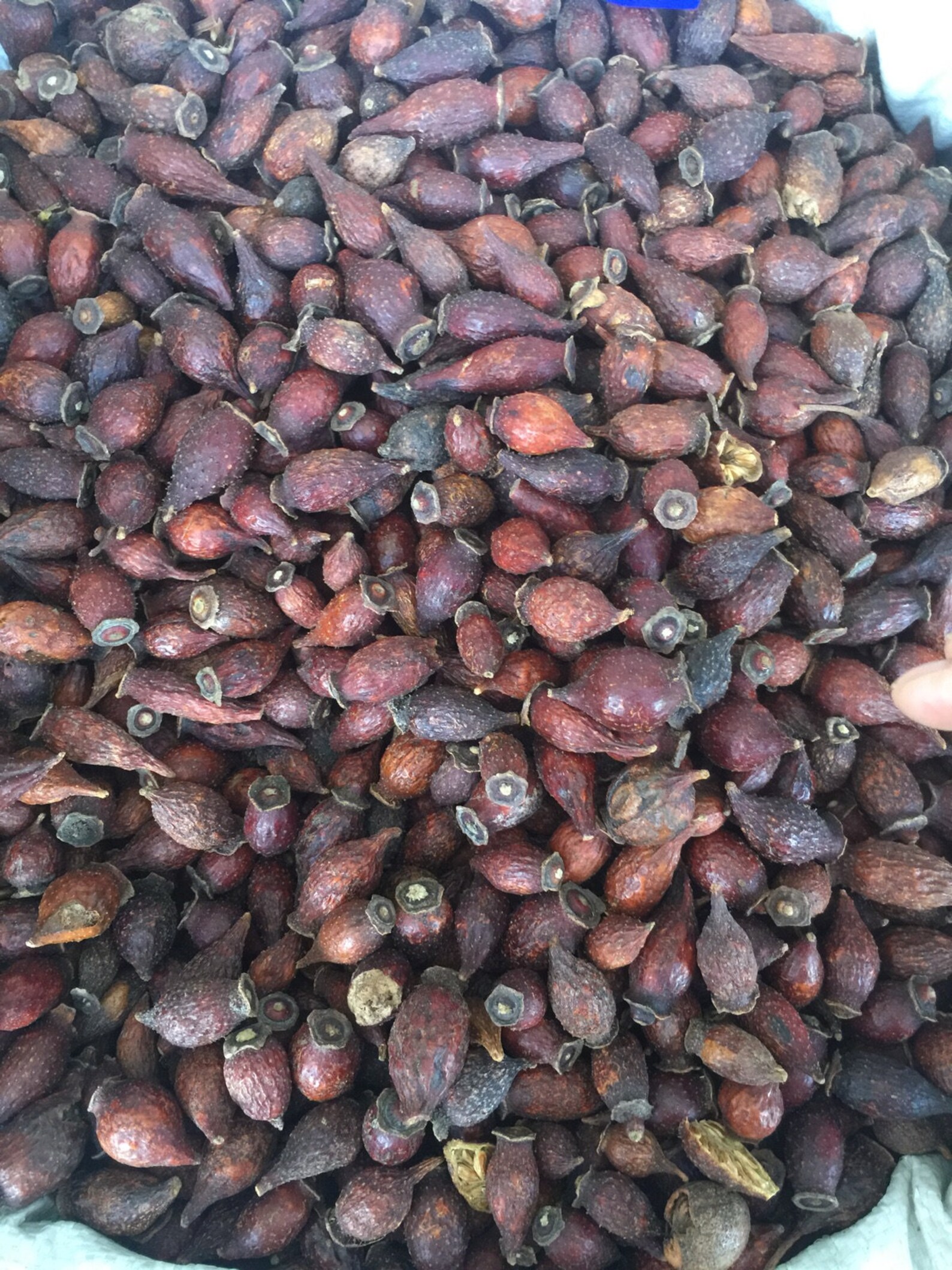 500g 100% Pure Fructus Rosae Laevigatae Powder Cherokee - Etsy