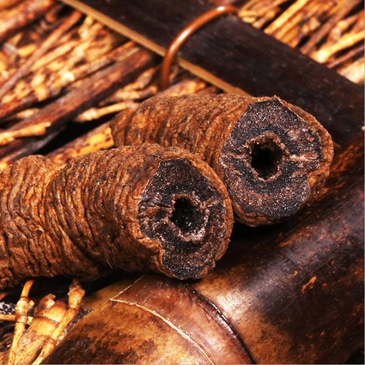 150g Prepared Morinda Root Prepared Morinda Officinalis How | Etsy