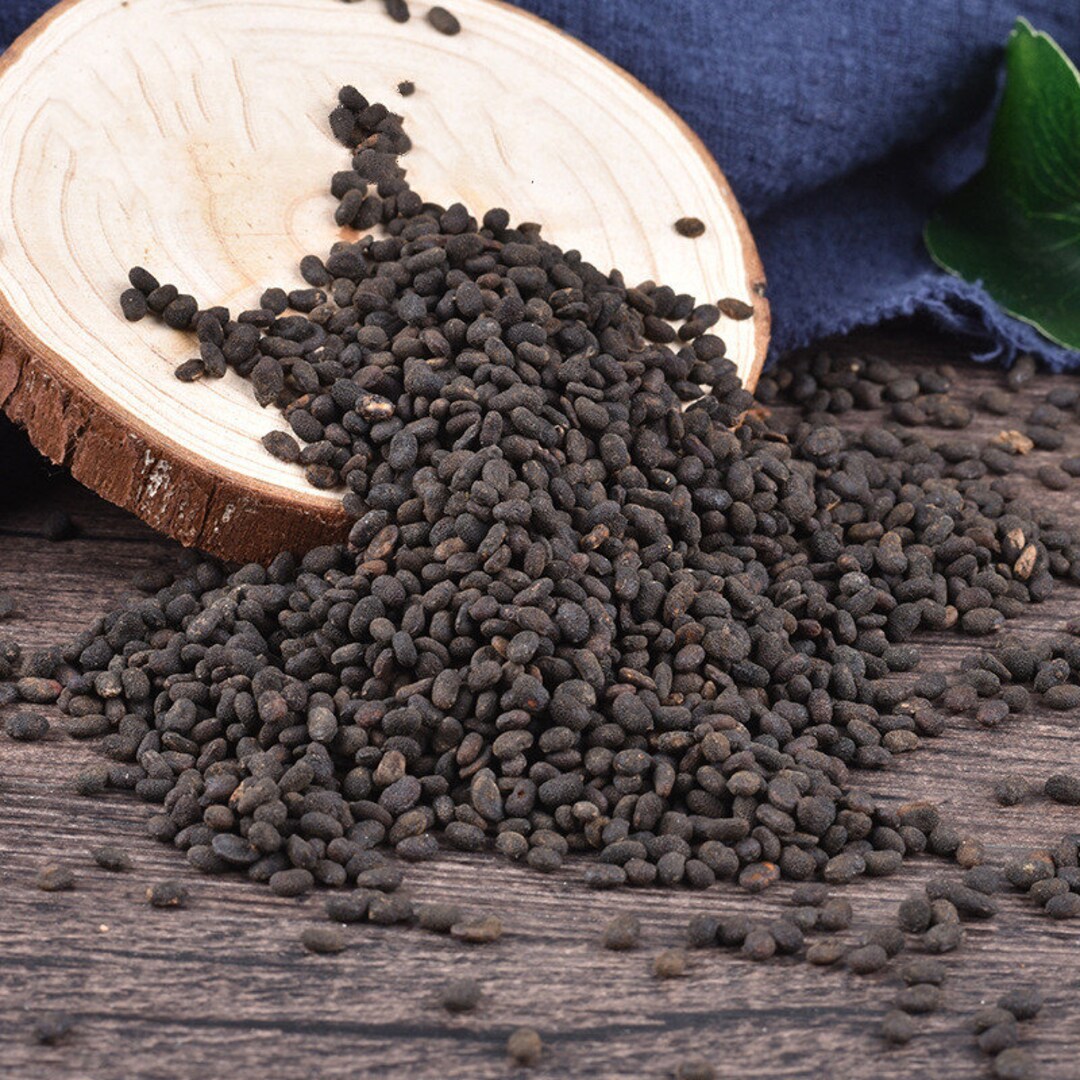 250g Natural BU GU ZHI Fructus Psoraleae Psoralen Seed Dried Herbs - Etsy