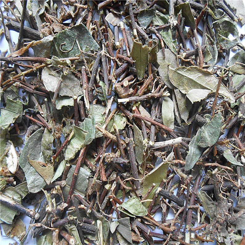 1.1 LB Dried Herbs Caulis Trachelospermi Luo Shi Teng 络石藤 - Etsy