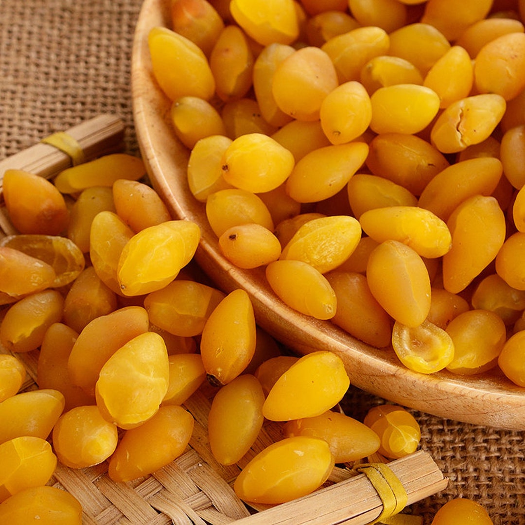 1.1 LB Dried Herbs Ginkgo Biloba Seed Without Shell, Ginkgo Nut - Etsy