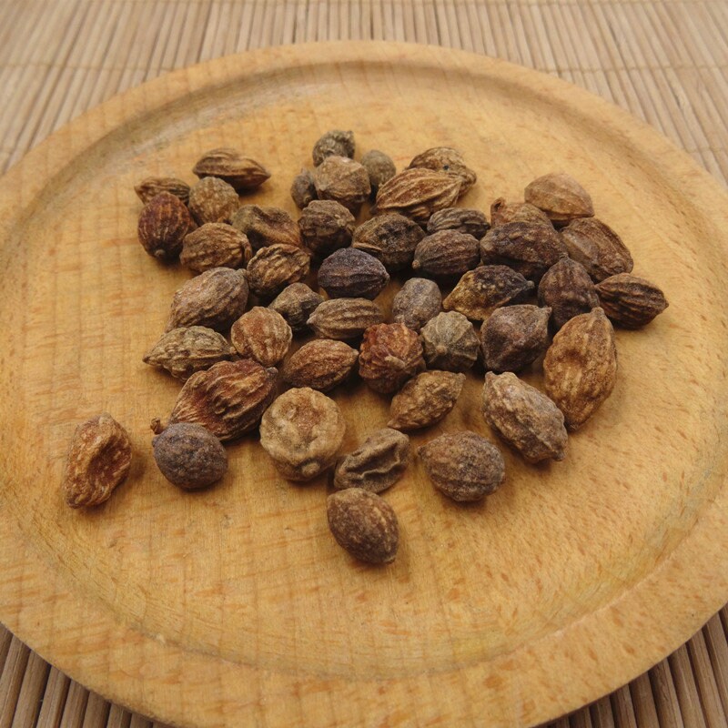 250g Organic Fructus Alpiniae Oxyphyllae Dried Herbs Yi Zhi - Etsy UK