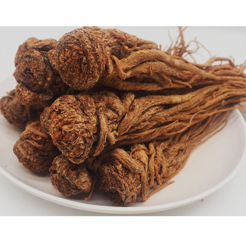 1.1 LB Premium Dried Radix Angelica Sinensis Root Dang Gui | Etsy