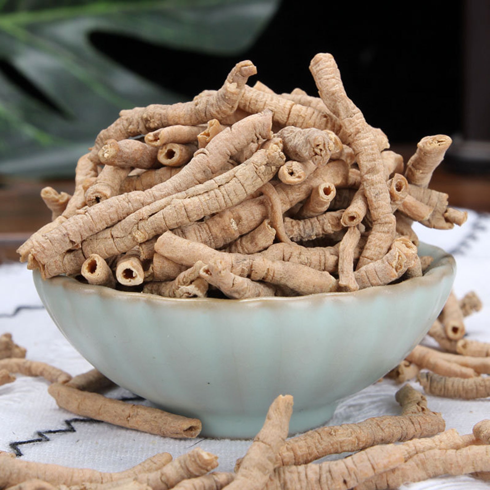 100 GR 3.5 OZ Organic Polygala Root Senega Dried Yuan Zhi | Etsy