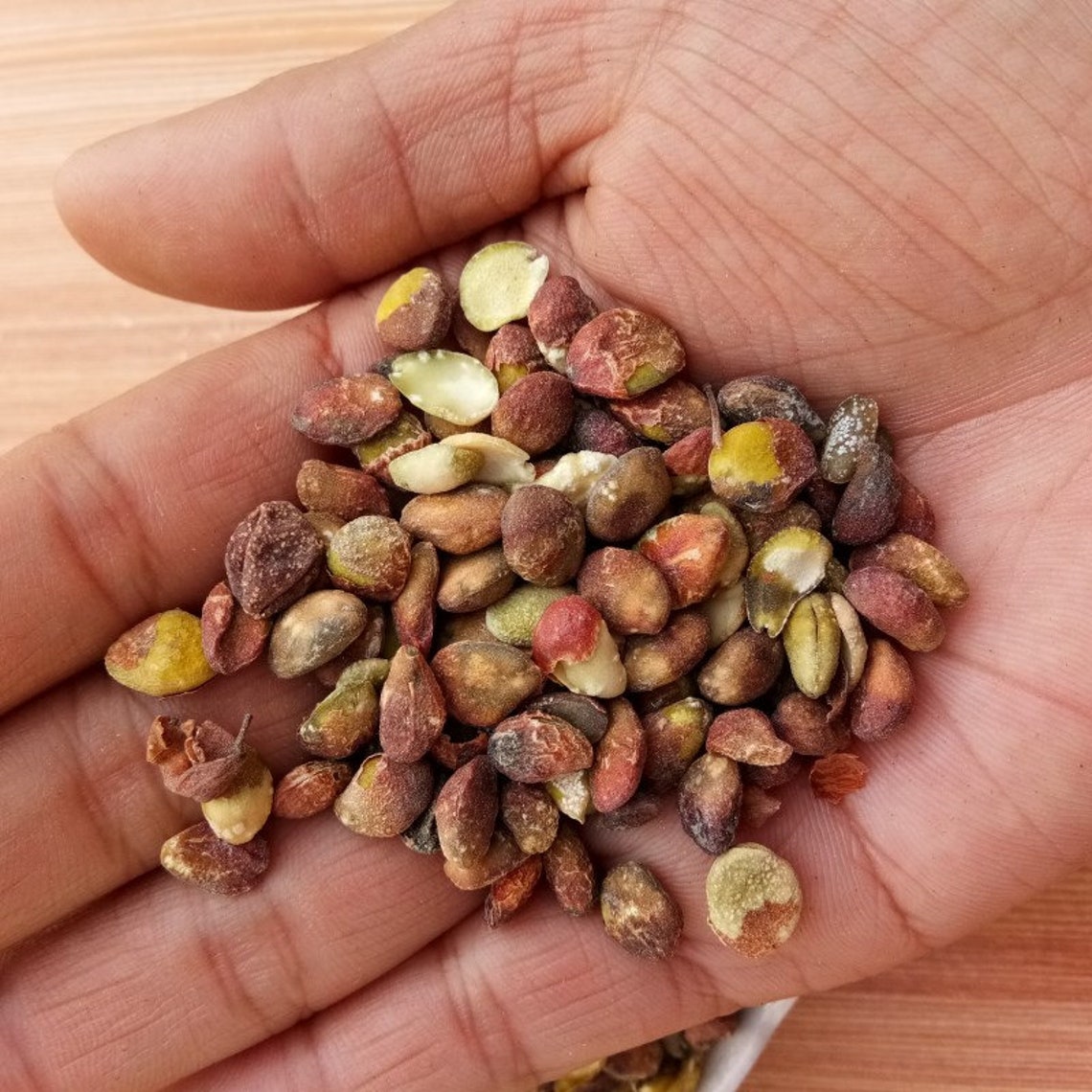 1.1LB Dried Herbs Ciausena Lansium Seed Wampee Seed Huang Pi | Etsy