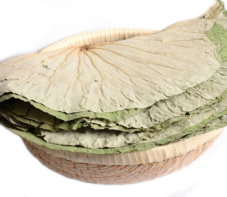 500g Dried Complete Lotus Leaf Tea - Etsy