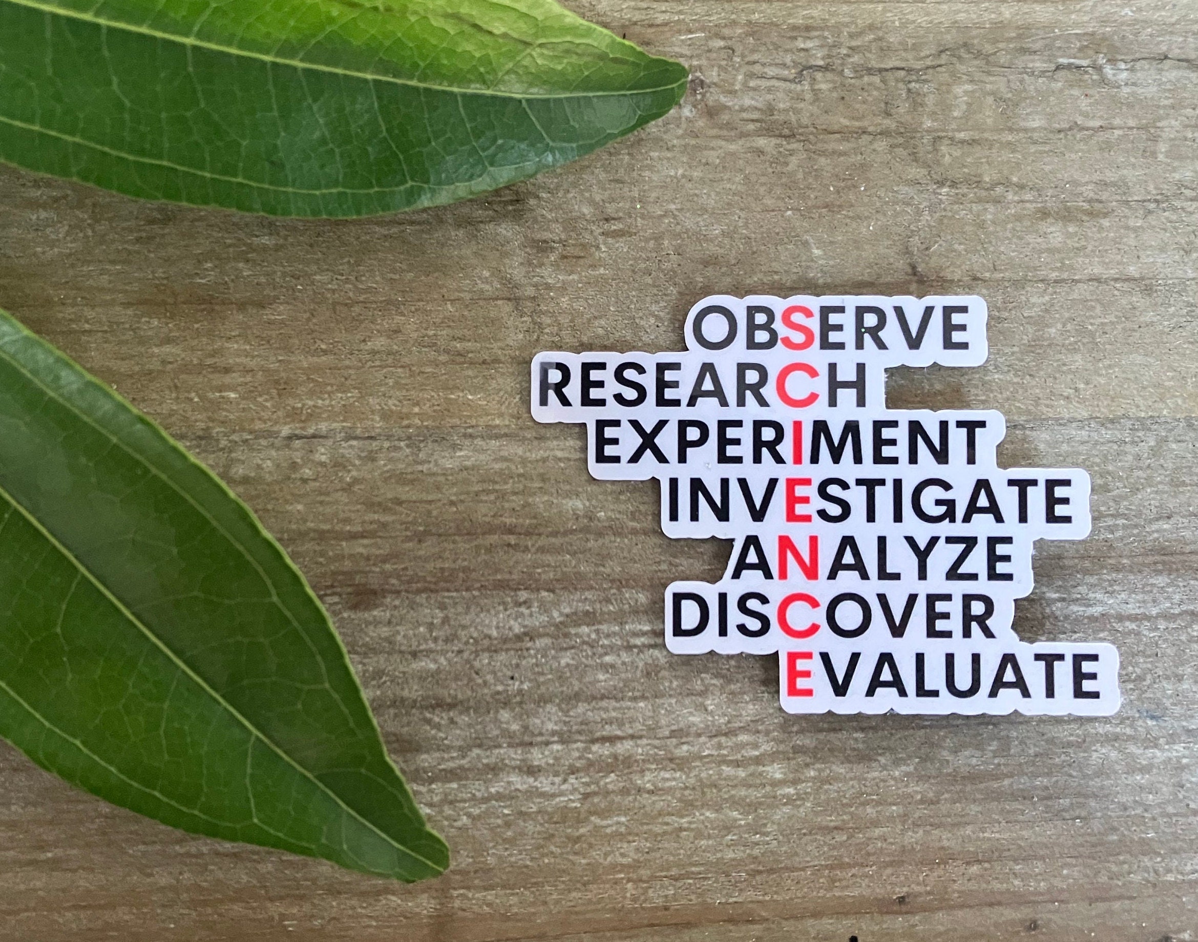 Science Investigation Sticker Science Teacher Biology - Etsy