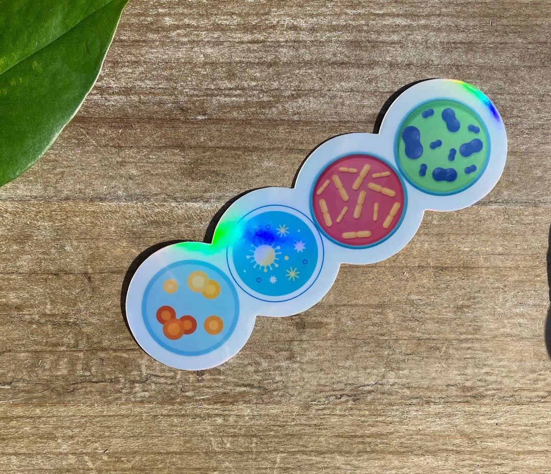 Holographic Petri Dish Sticker, Lab Tech Sticker, Lab Gift, Infectious ...