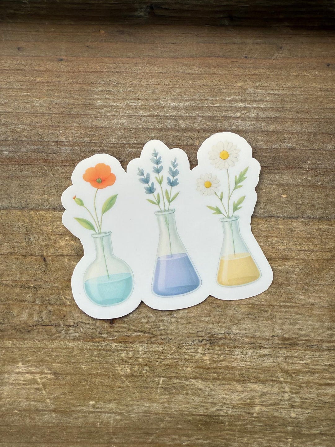 Floral Science Sticker, Erlenmeyer Flask, Chemistry Sticker, Women in ...